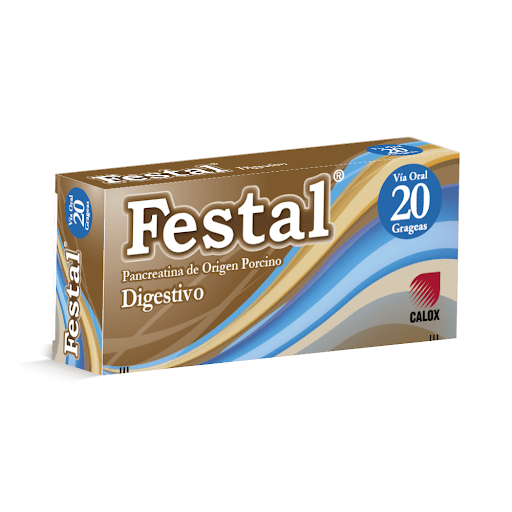FESTAL X20 GRAGEAS