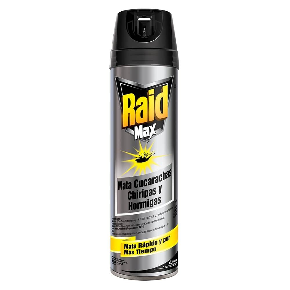 RAID MAX AEROSOL 360CC